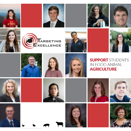 Targeting Excellence banner image